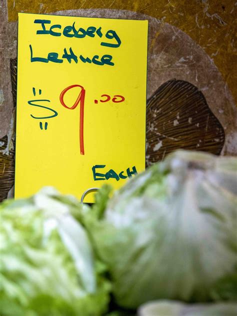 Lettuce Price Spike More Vegetable Shortages Tipped Following Farm