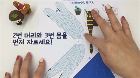 무게중심 잠자리 Youtube