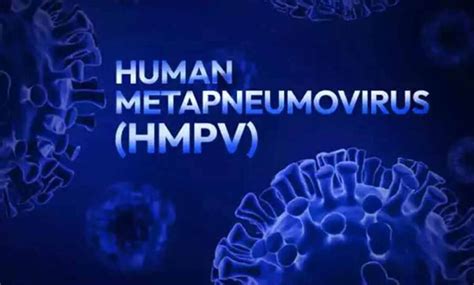 भारत में एचएमपीवी के अब तक कितने संक्रमित मिले World Mirror News