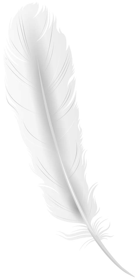 White Feather Png Clip Art Image Gallery Yopriceville High Quality Free Images And