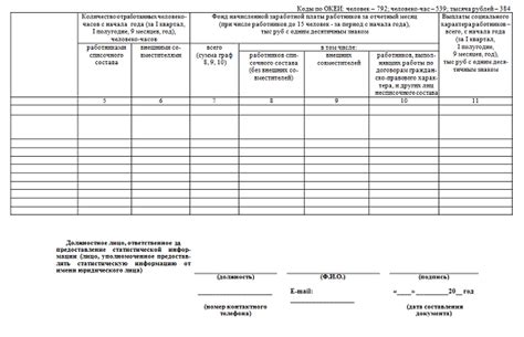 Заполнение формы п 4 статистика пошаговая инструкция Бухучет инфо Мир фактов