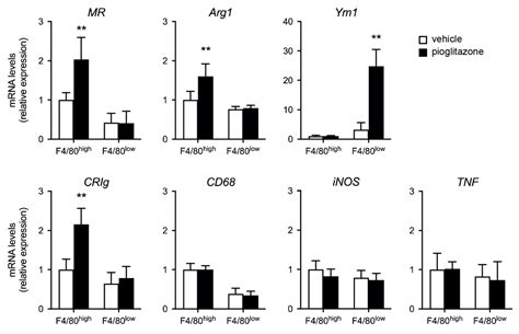 Ijms Free Full Text Pioglitazone Modifies Kupffer Cell Function And