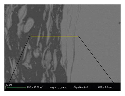 An Interlaced Structure On The Al Cu Interface A Interface Feature