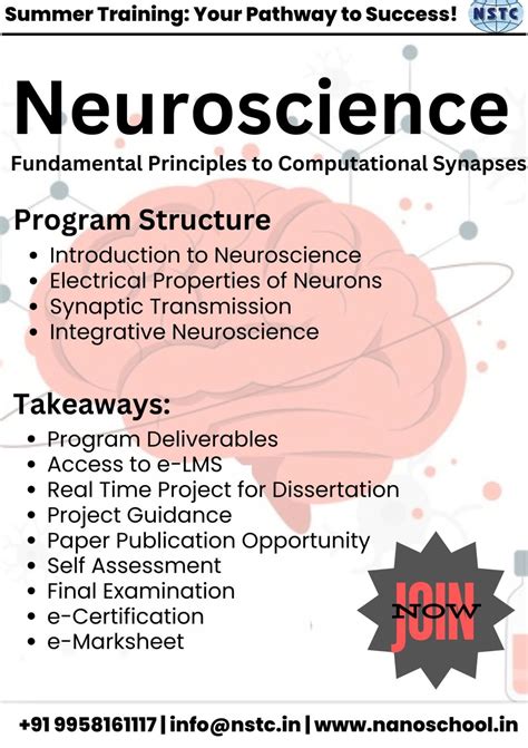 nano science technology consortium on linkedin neuroscience
