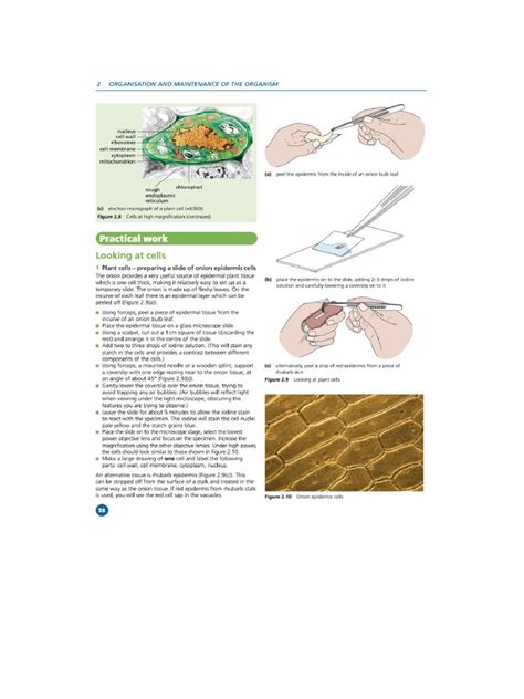 O Level Biology Practical Experiments Pdf