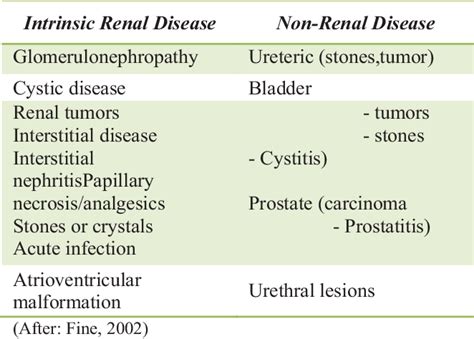 What Causes Dog Hematuria