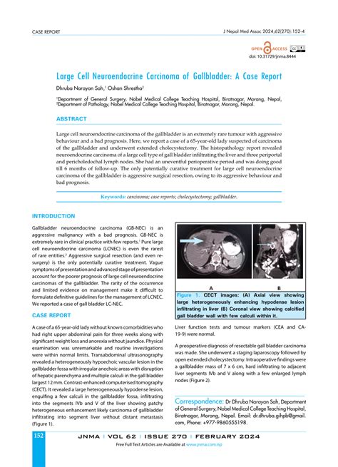 Pdf Large Cell Neuroendocrine Carcinoma Of Gallbladder A Case Report