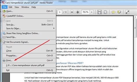 Как убрать панель инструментов в adobe reader Закрыть навсегда панель