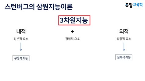 1단원 교육심리 Topic 3 스턴버그의 삼원지능이론 Youtube