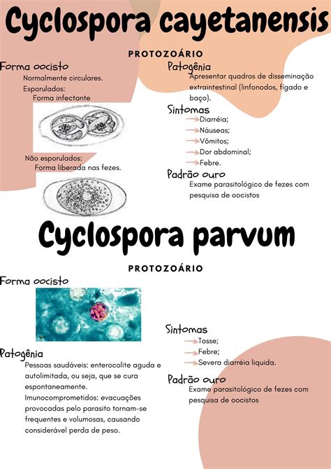 Resumo Cyclospora Caytanense é Cyclospora Parvum Parasitologia Clínica