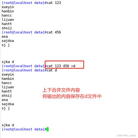 【linux】文本处理常见命令，你都会了嘛？linux文本操作命令 Csdn博客