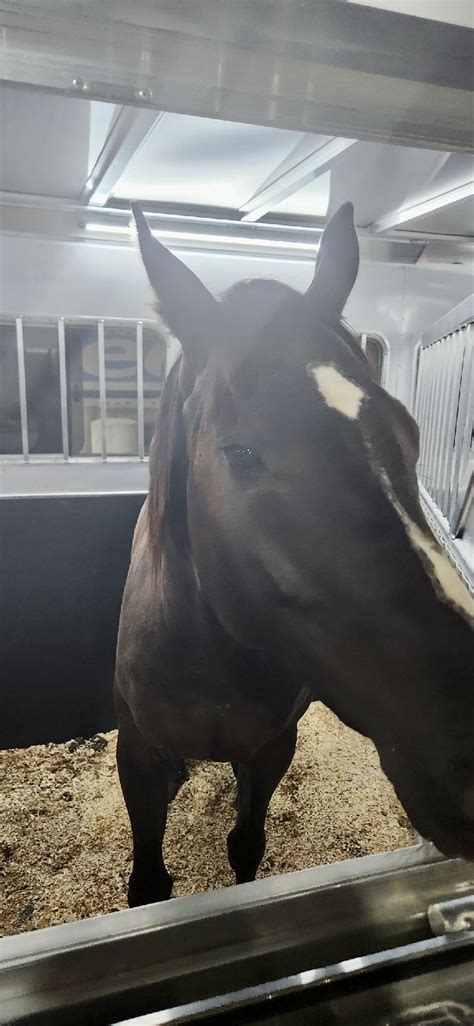 Glass Models Glass Models Added A New Photo — At