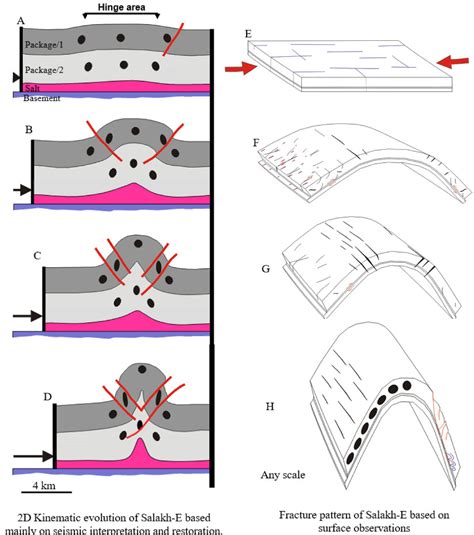 Figure 1 From Understanding The Relationship Between Large Scale Fold