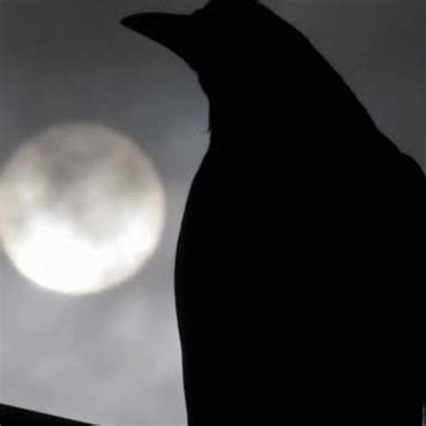 Akib Khan Student Ymca University Of Science And Technology