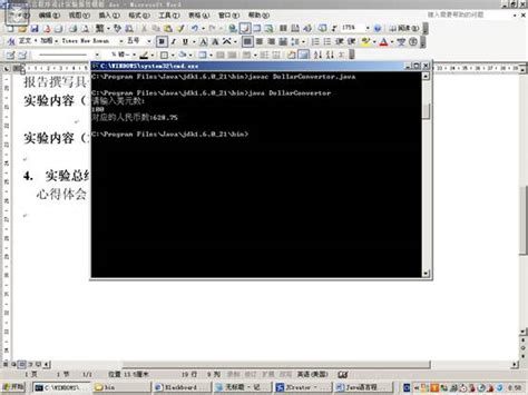 Java实验报告1 范文118