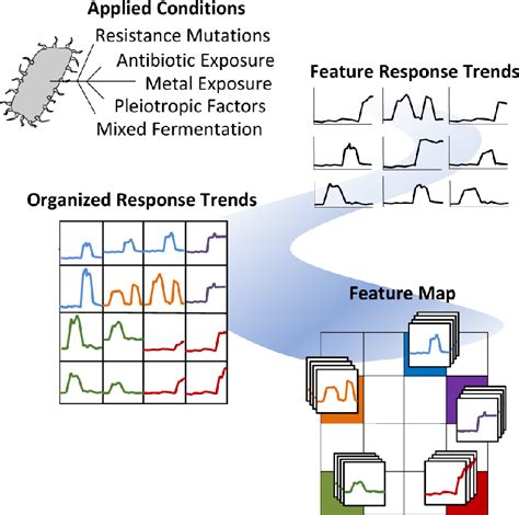 Figure 4 From Comparative Mass Spectrometry Based Metabolomics Strategies For The Investigation