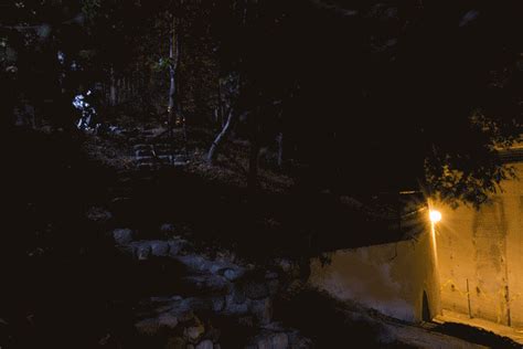 Rail  Find And Share On Giphy