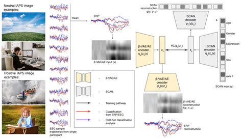 Representation Learning For Improved Interpretability And