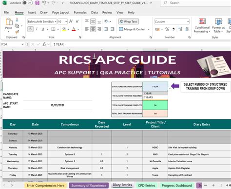 Rics Apc Excel Diary Template With Example Entries Resources