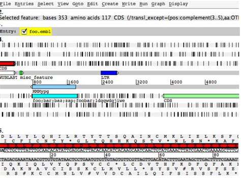 Do Bioinformatics Bacterial Genome Analysis Using Artemis By Zahra