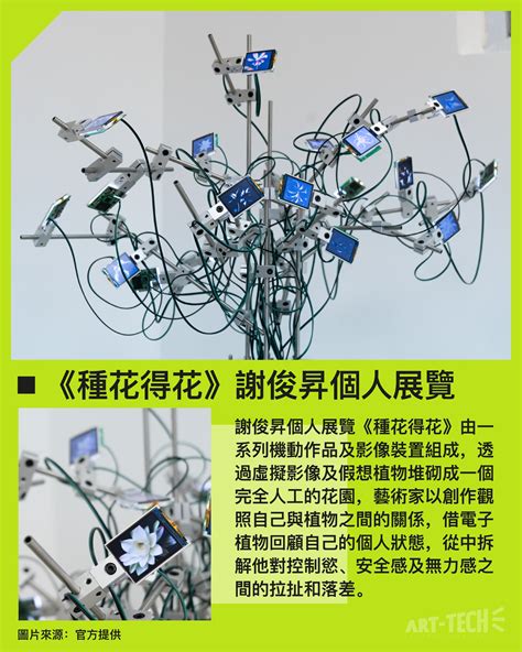 Art Tech Talks 【裝置藝術】觀照自己與植物之間的關係，反思自己的個人狀態！ Instagram