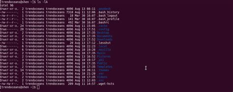 Some Common Options You Can Use With The Ls Command TREND OCEANS