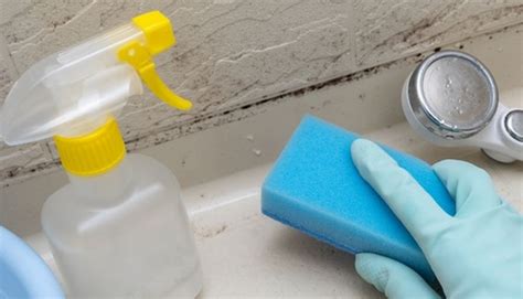 Cara Menghilangkan Lumut Di Tembok Dan Lantai Secara Efektif