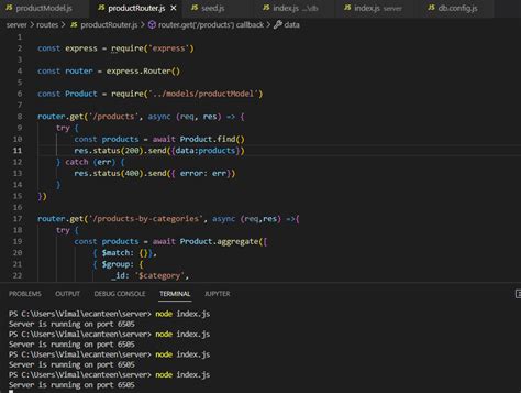 Data Present In My Collection Is Not Displayed In My Backend Server Working With Data