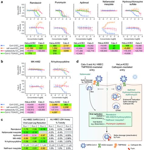 Direct Acting Antiviral Compounds Are Active In Multiple Cell Based