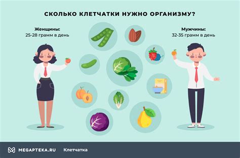 ТОП продуктов с высоким содержанием клетчатки: Список