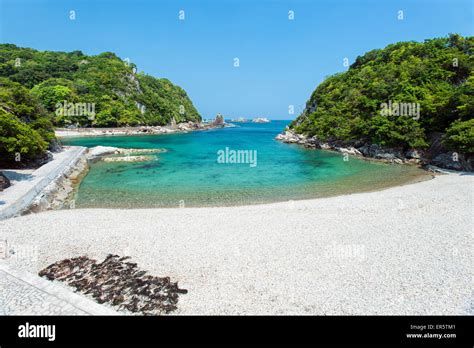 The Cove Taiji Map