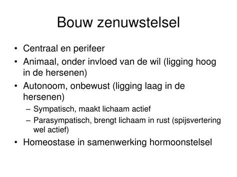 Ppt Bouw En Functie Zenuwstelsel Powerpoint Presentation Free