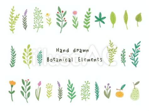 草花イラスト 手のスケッチ イラスト フリー素材 イラスト