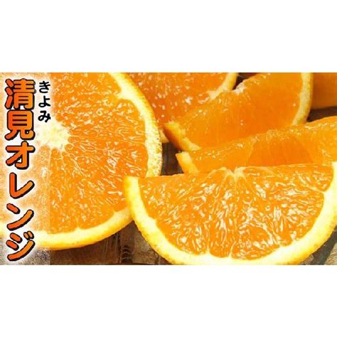 【予約販売】訳あり 清見オレンジ 5kg ご家庭用選別品 春かんきつ 5キロ箱 紀州和歌山有田みかんの里から サイズ混合 規格外 不揃い果実