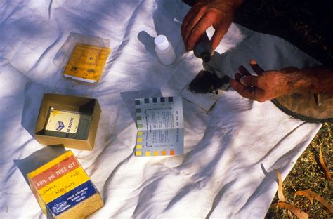 Monitoring Soil Ph Levels With Biochar Application Nectarbeat