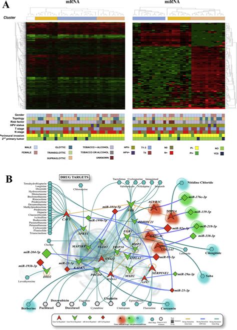 a unsupervised clustering analysis of mrna and microrna expression