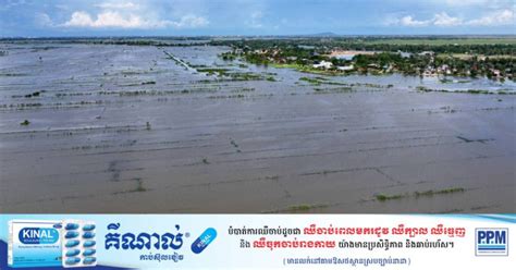 Floods Destroy Thousands Of Hectares Of Rice Cambodianess