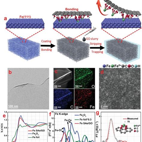 Schematic Illustration For The Construction And Characterization Of Fe Download Scientific