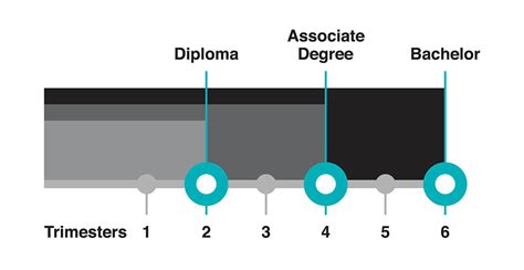 Bachelor Of Animation Degree Sae