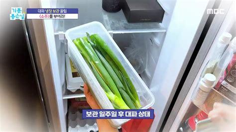 한 달 내내 대파를 싱싱하게 먹을 수 있다고 대파 보관 꿀팁