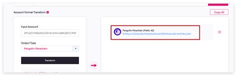 Account Format On Pangolin Parachain Is Not Correct · Issue 361