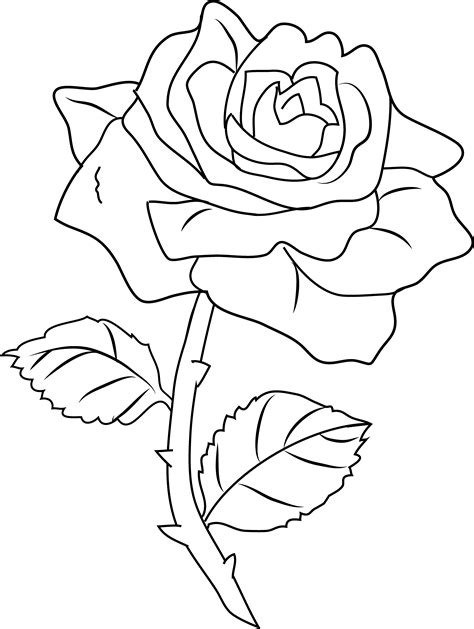 Coloriages Roses Nature Dessins à Colorier Coloriages à Imprimer