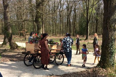 Ter Herinnering Aan Peter Deuss Memori Nl