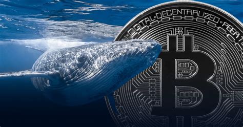 วาฬดึกดำบรรพ์ เคลื่อนไหว โยก 1 400 Btc เข้าที่อยู่ P2tr Cryptosiam