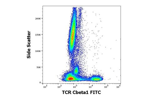 Anti Tcr Beta Constant 1 Antibody Jovi1 Fitc A242893