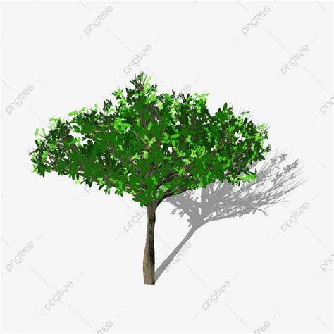 인공 유칼립투스 및 상록수 Png 및 Psd 파일 무료 다운로드