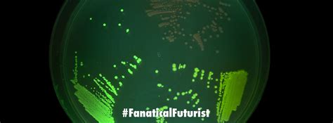 The First Ever Bacterial Display Can Run Doom Really Slowly 311 Institute