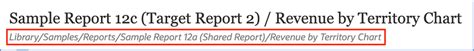 Inserting A Shared Object Into A Report
