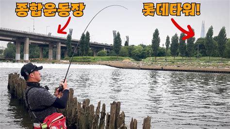 한강에서 낮은 수심에 있는 가물치를 잡아서 맛있게 요리해서 먹어보았습니다 Youtube