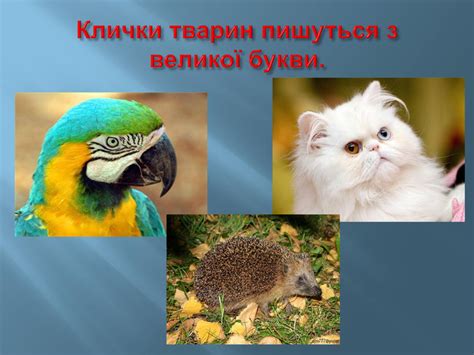 Презентація Велика буква в кличках тварин